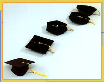 Tams, Professional, Verona, Mortarboards, College, University